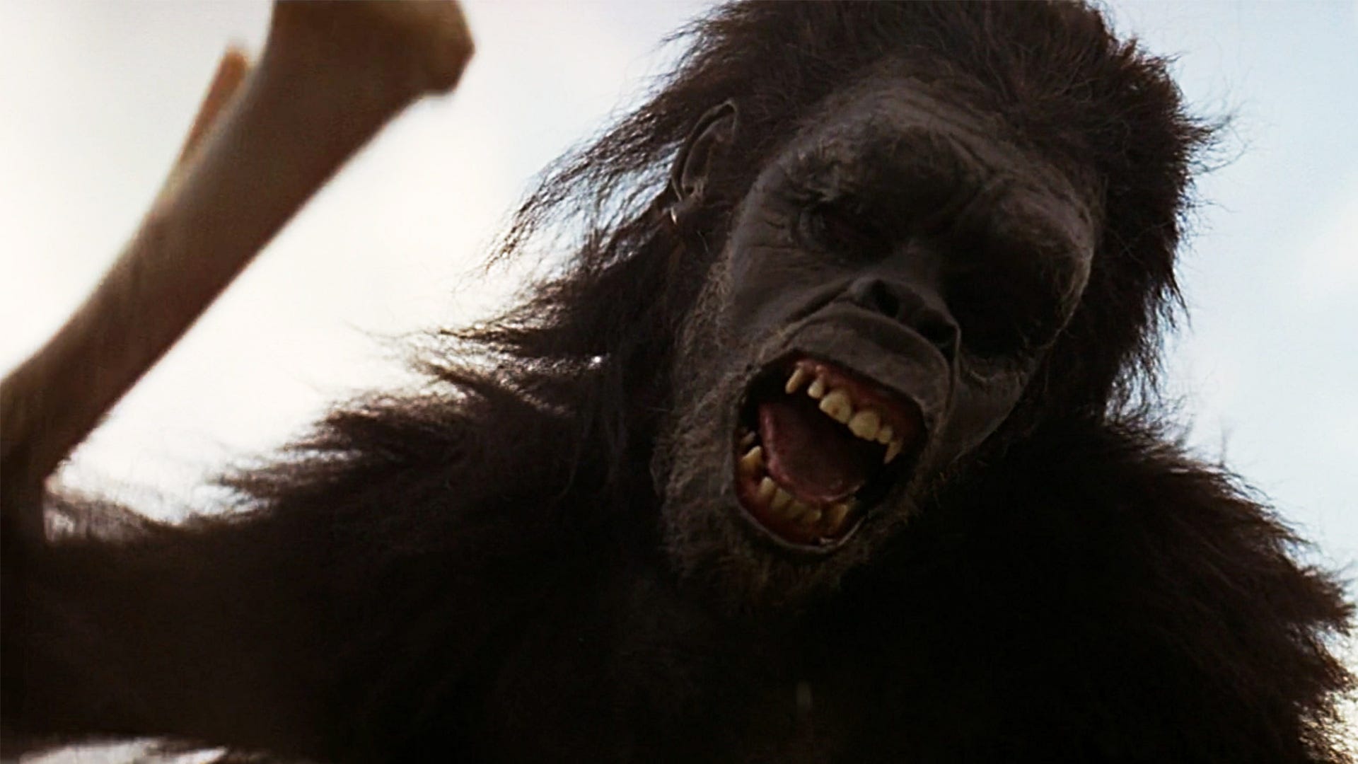 I'm a monkey & that's a Monolith! - Incautious Optimism