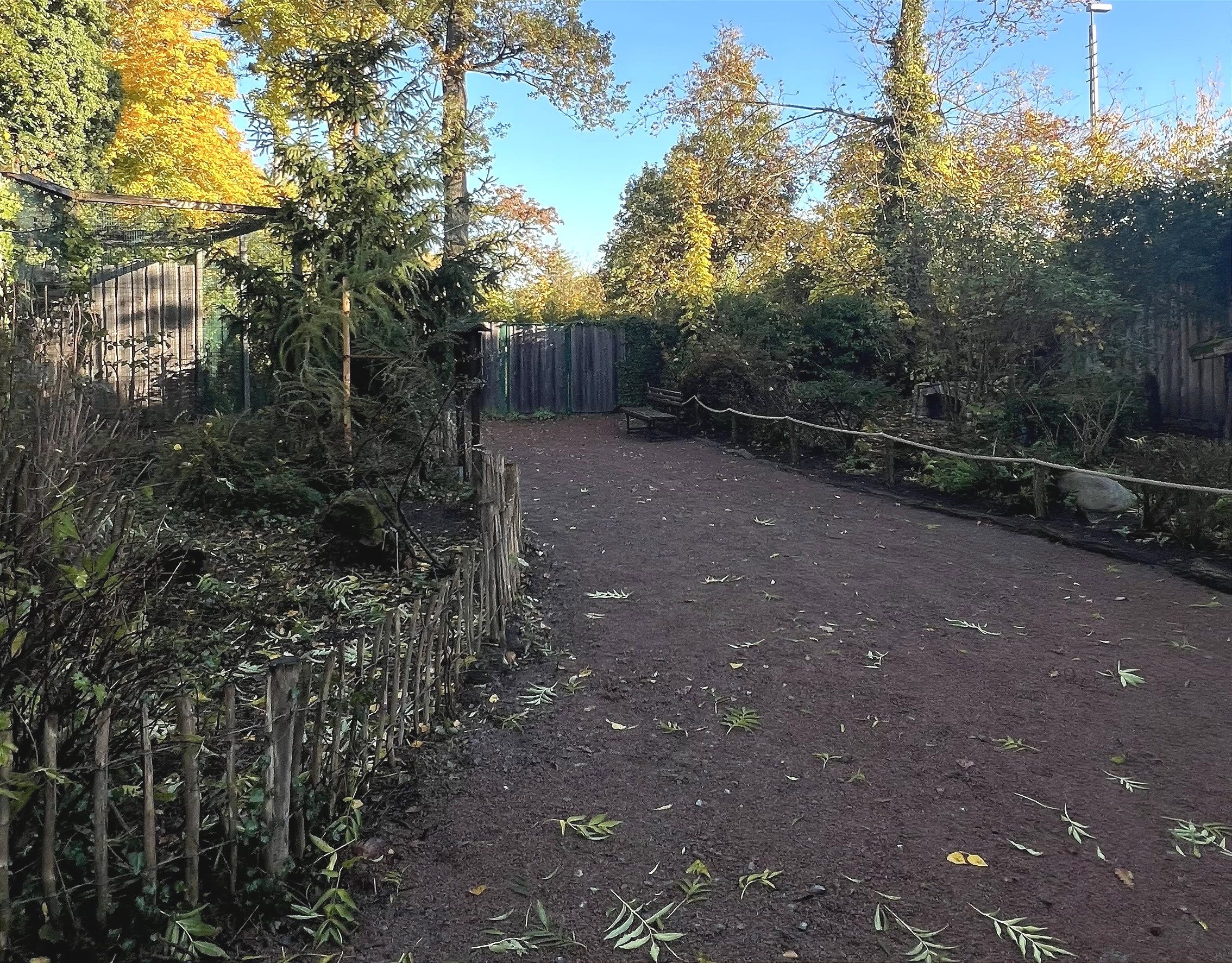 Exciting changes ahead at Tierpark Dessau - Pazi's Pallas