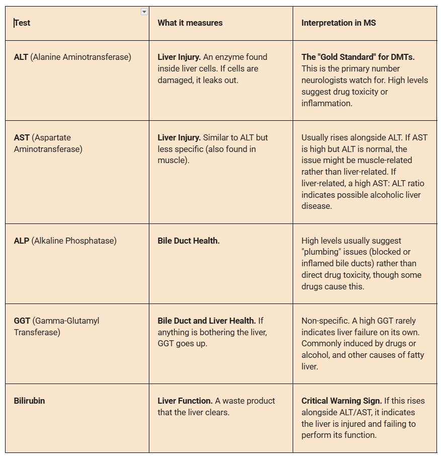 Understanding your liver function tests or LFTs