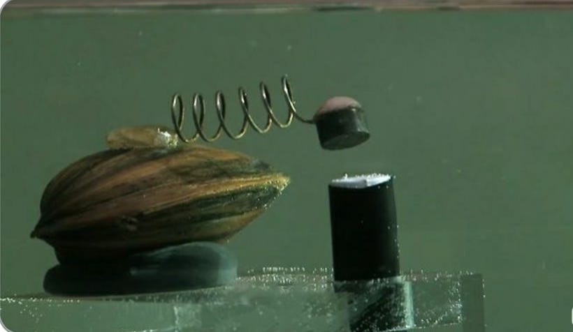 Gar's Tips & Tools - Issue #196 - by Gareth Branwyn