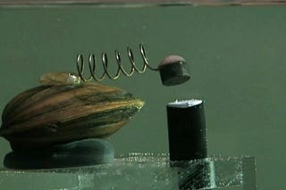 Gar's Tips & Tools | Gareth Branwyn | Substack