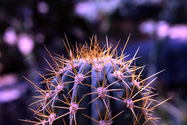 Demystify Culture | Gustavo Razzetti | Substack