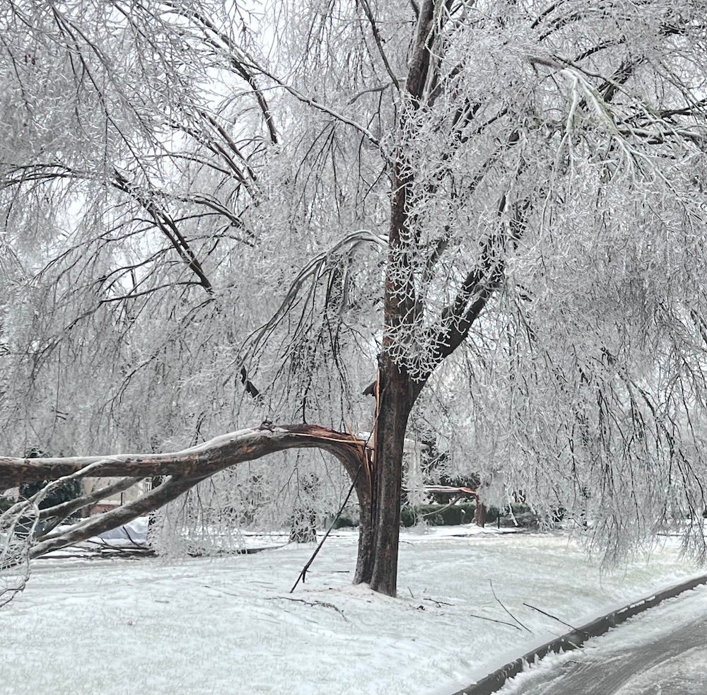 An Ice Storm and A Viral Video - by Kate Battistelli