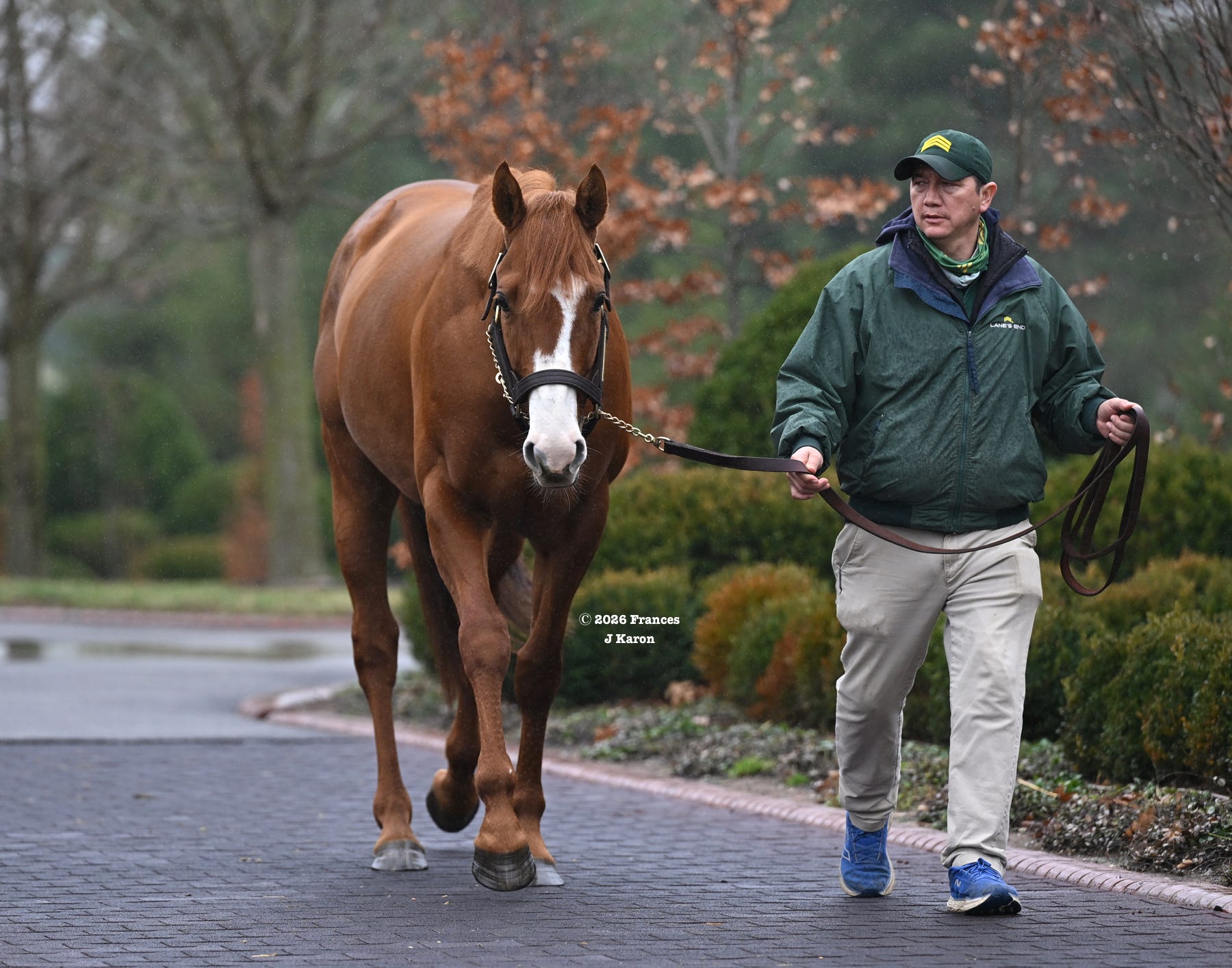 Carl Spackler represents flourishing Lope de Vega line in Kentucky