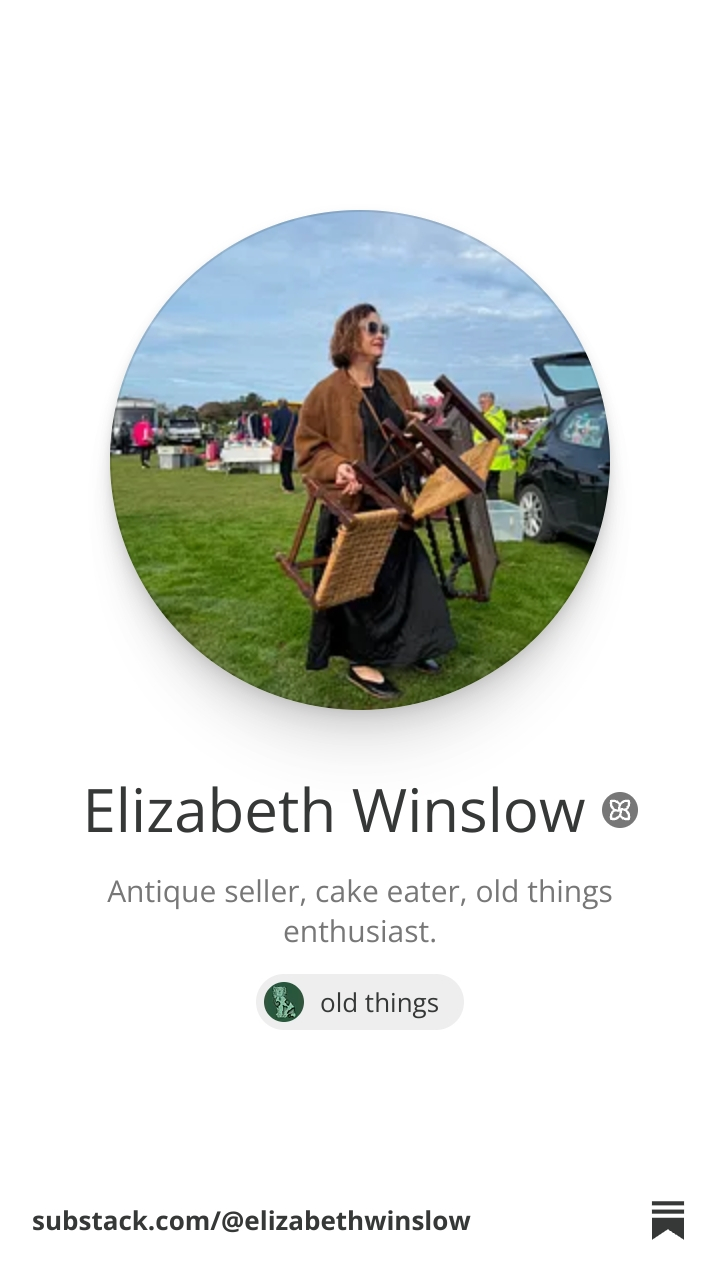 Elizabeth Winslow | Substack
