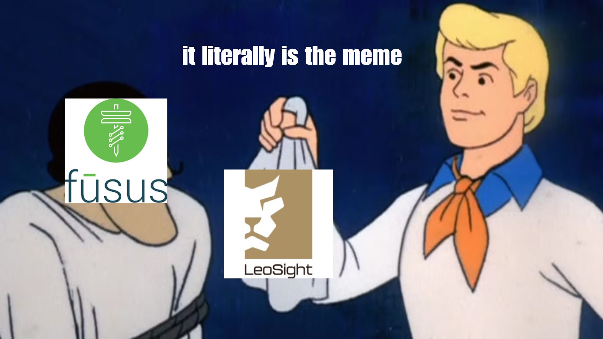 From the Makers of Fusus (literally): Meet "LeoSight" | Mayor's MOU ...