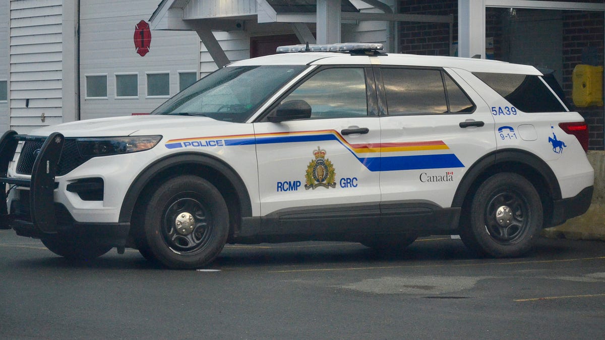 Police probing weekend ‘firearms incident’, theft