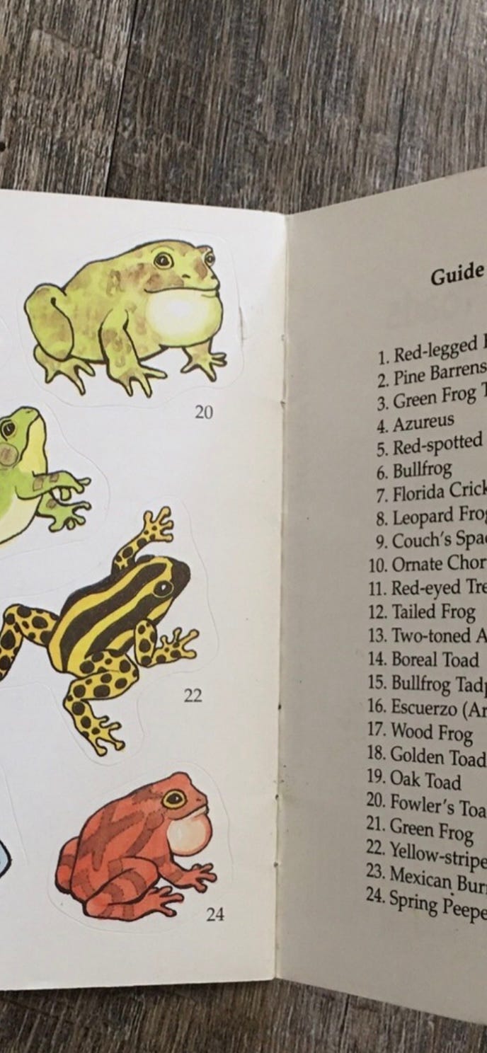 Frogs and Toads - by Betsy Fisher - Marshal's Party