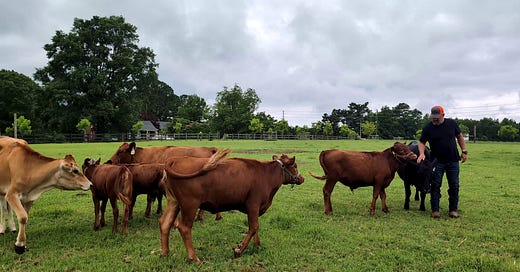 The Triangle Trumpet | Stephen Horn | Substack