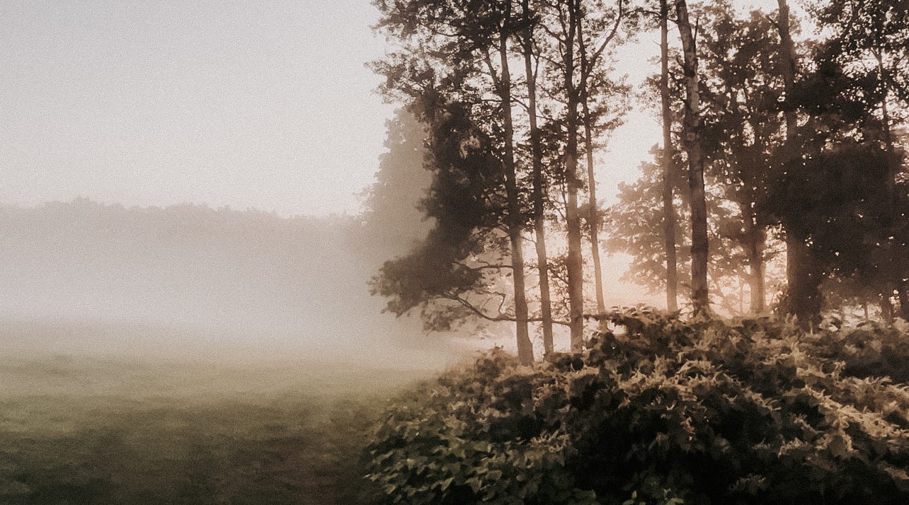 Leaving Noise for the Middle of Nowhere - by Dani Snyder