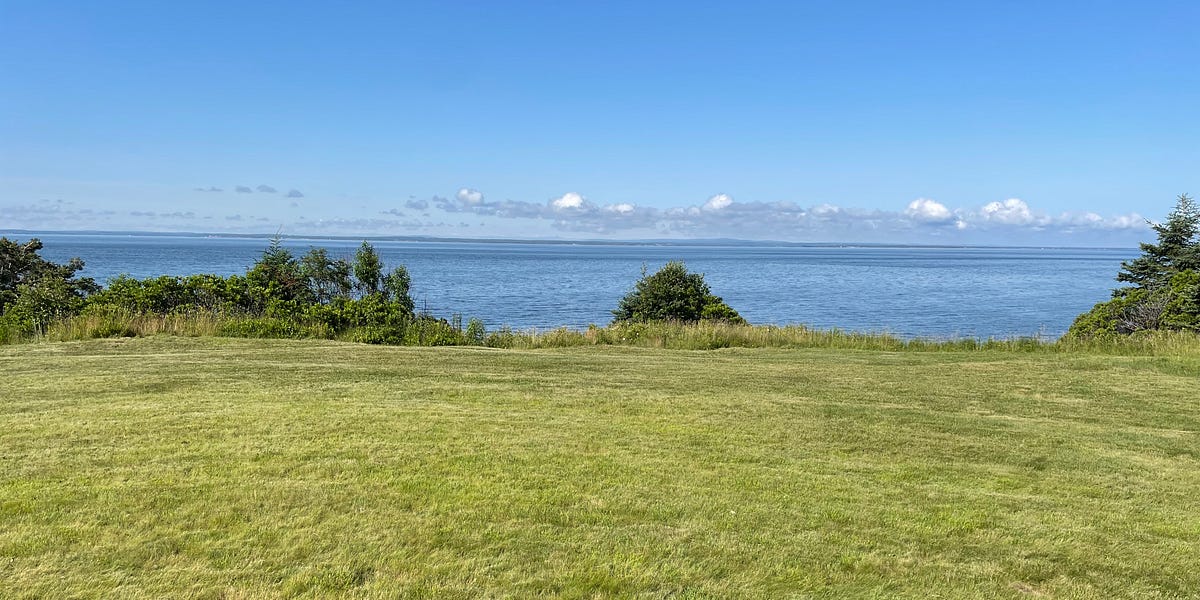 Extra-Step Island - by JJ Akin - Bayview Wonder