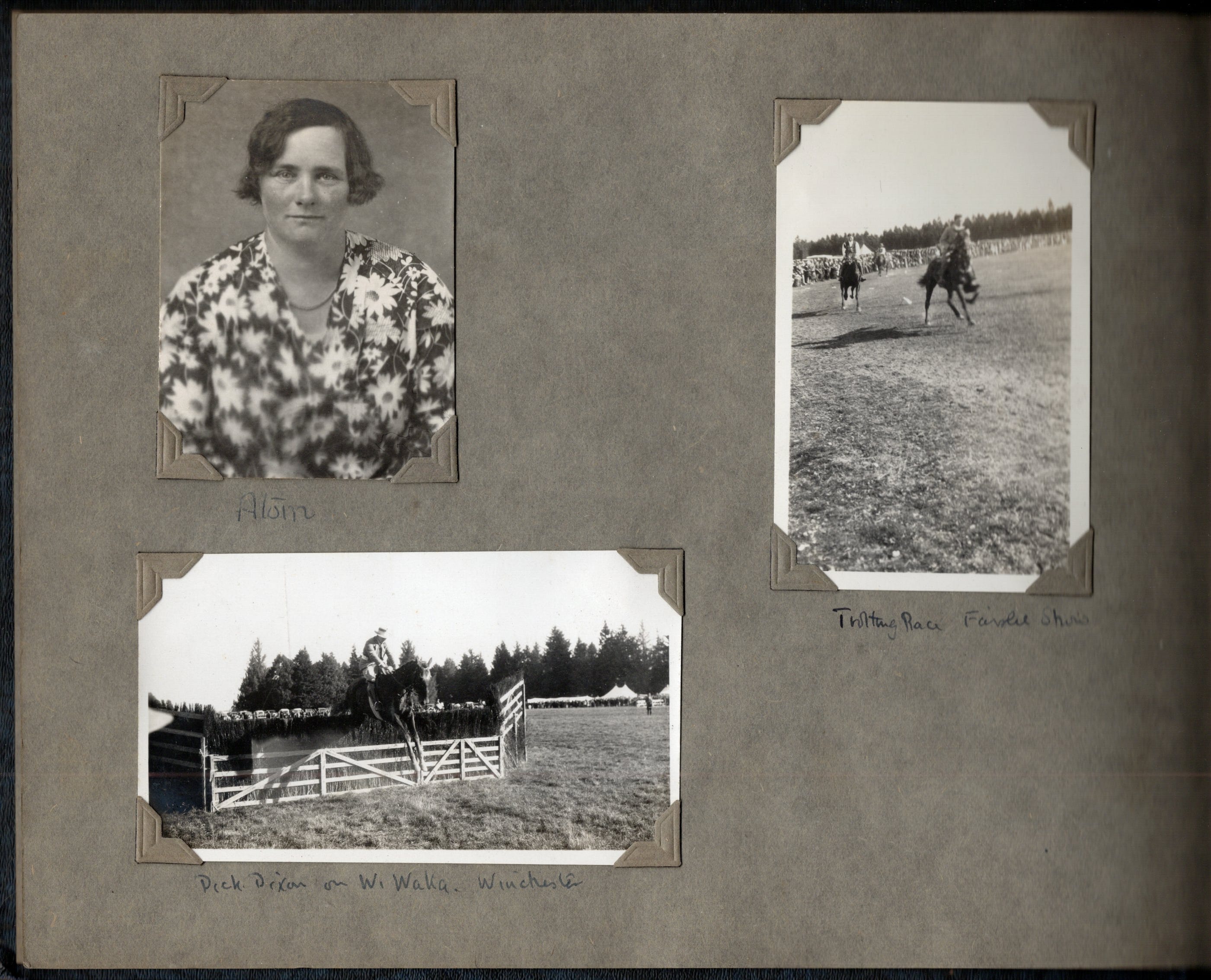 The Godfrey album - by The Fake History Hunter