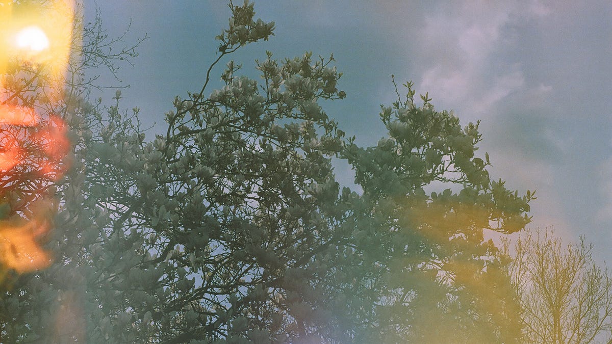 Writing to redirect the processes of becoming.