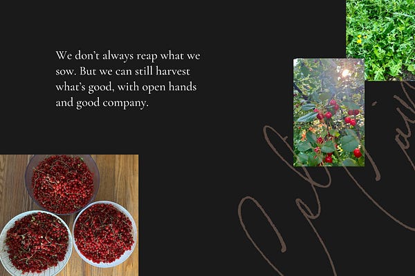 Intellect & Intuition | Celia Cain, PhD | Substack