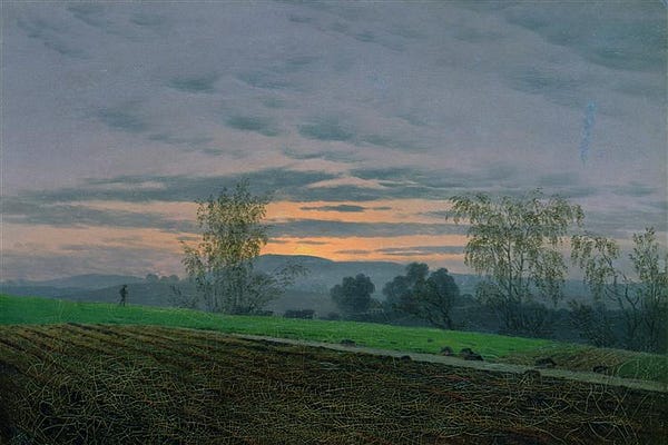 More Beautiful Than Necessary | Tresta Payne | Substack