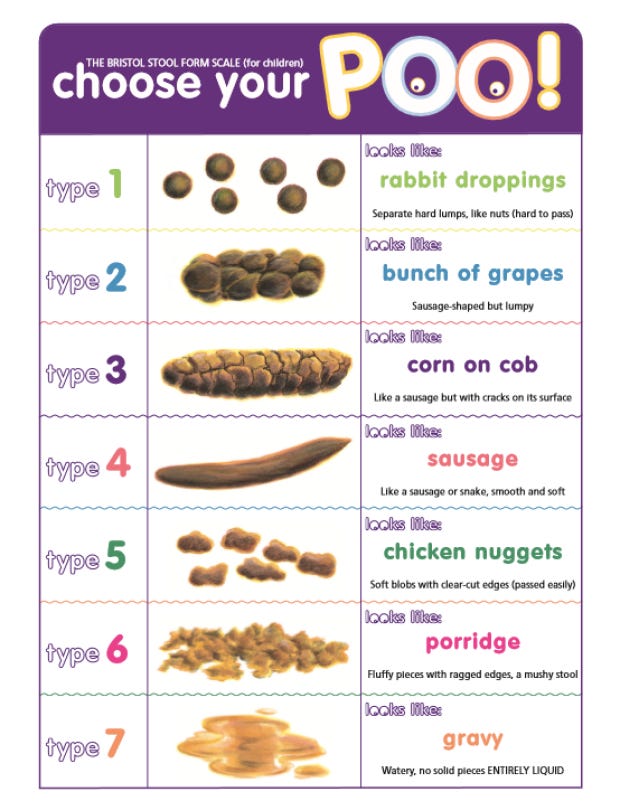 What “Normal” Poop Actually Looks Like (Bristol Stool Scale Explained)