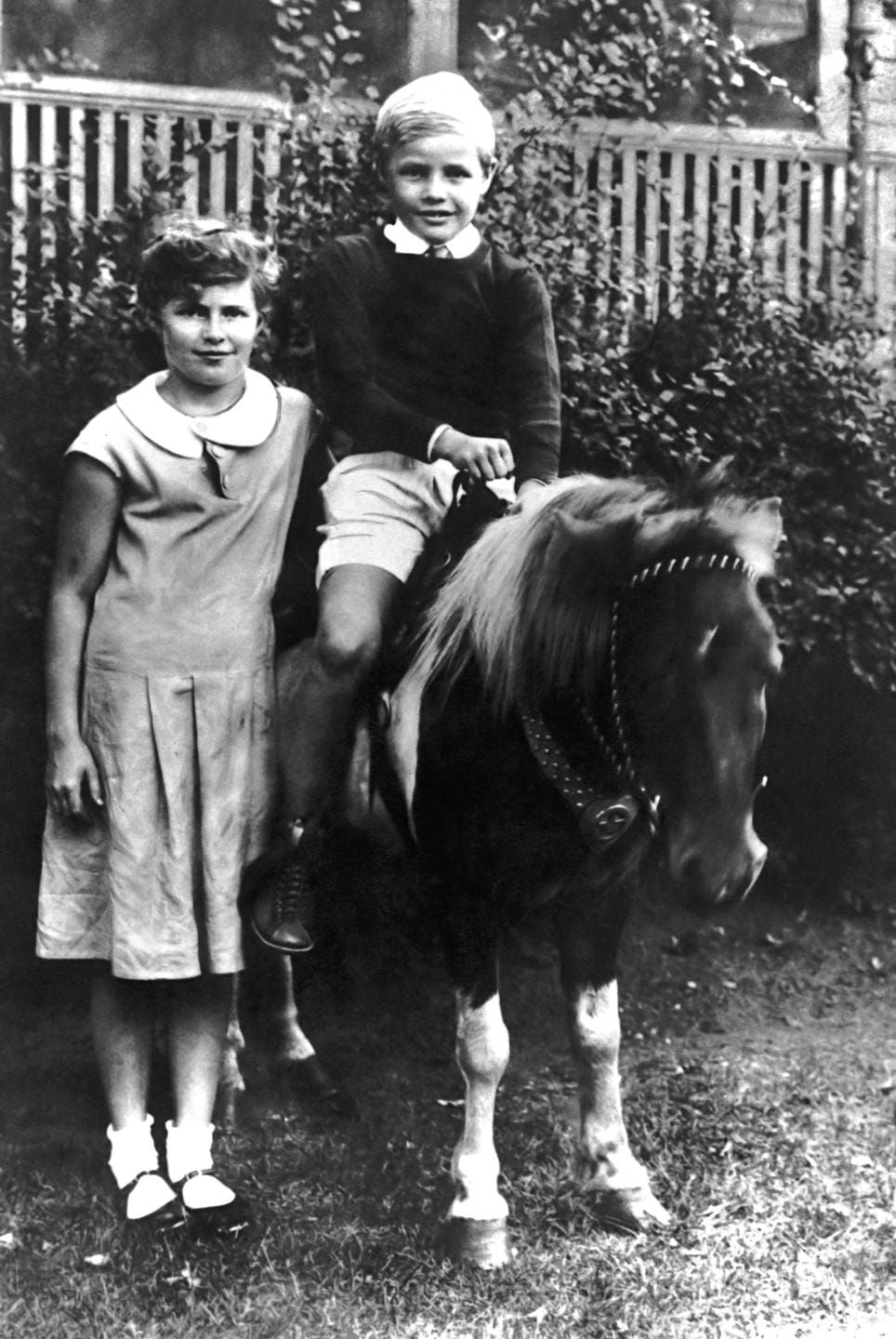 Icon no 5: Marlon Brando - by Dr Simon Rogoff