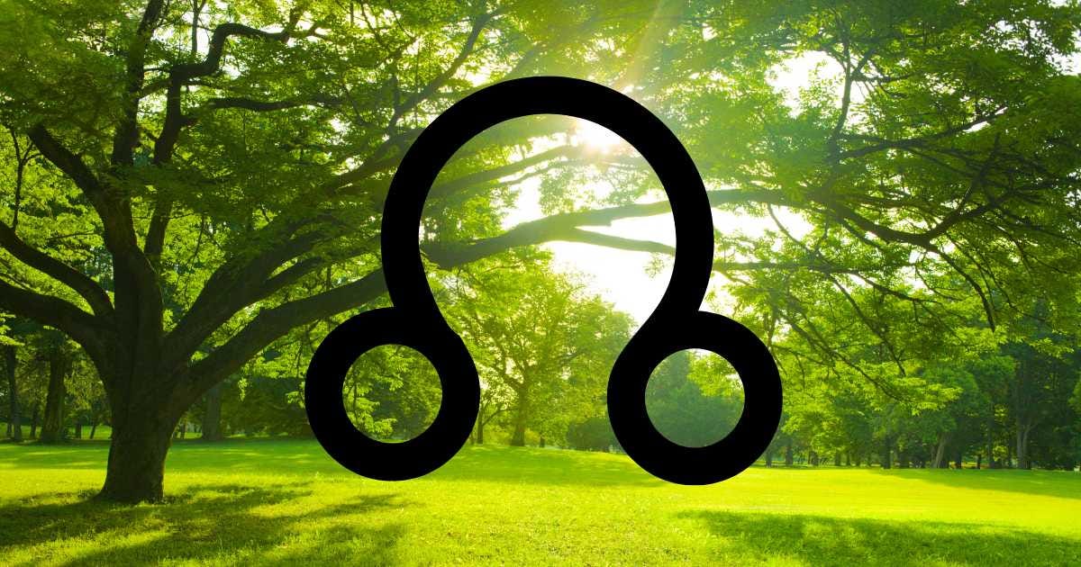 Aspectos com o Nodo Norte - by Astróloga do Jardim