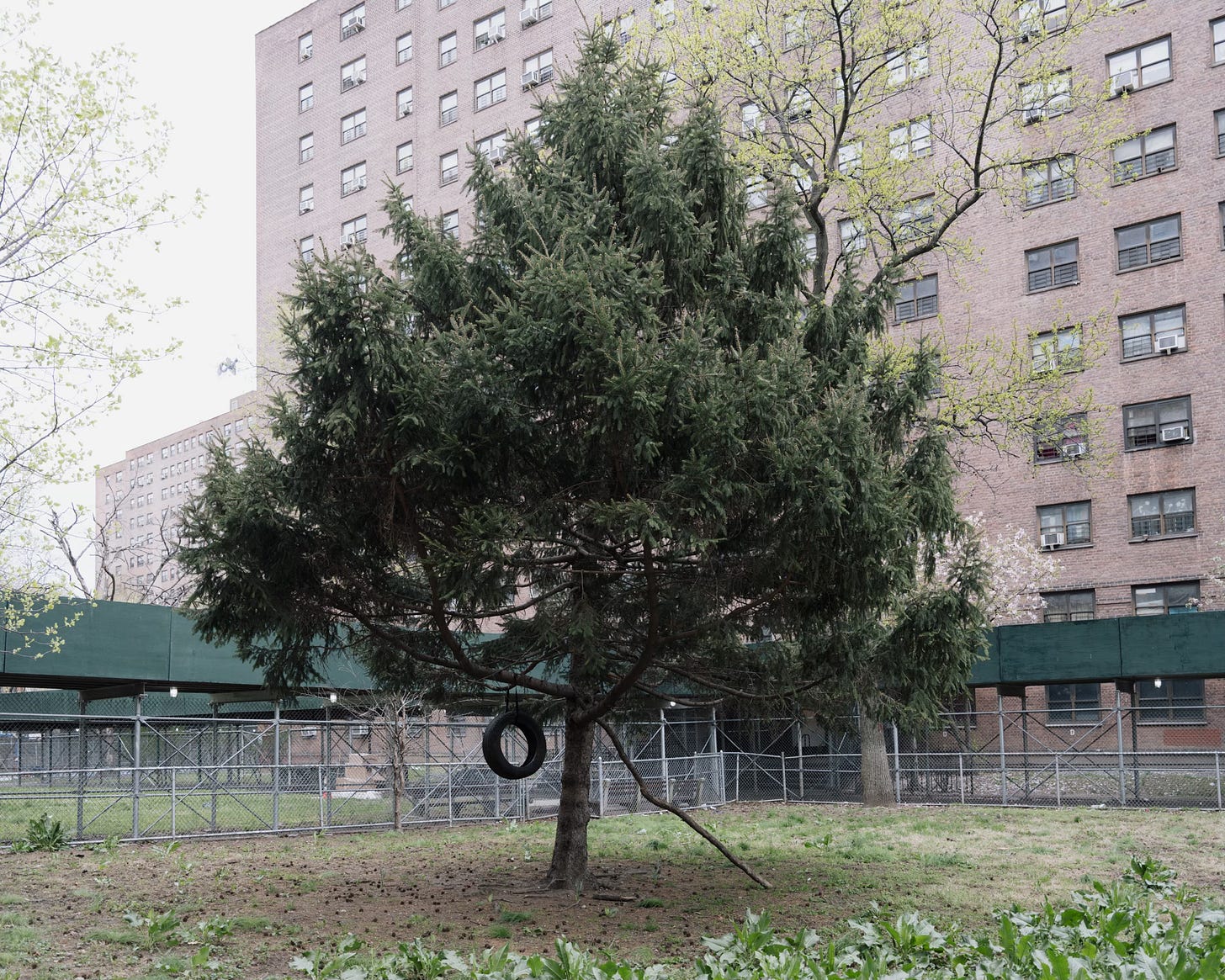 Marble Hill - Manhattan - by Rob Stephenson