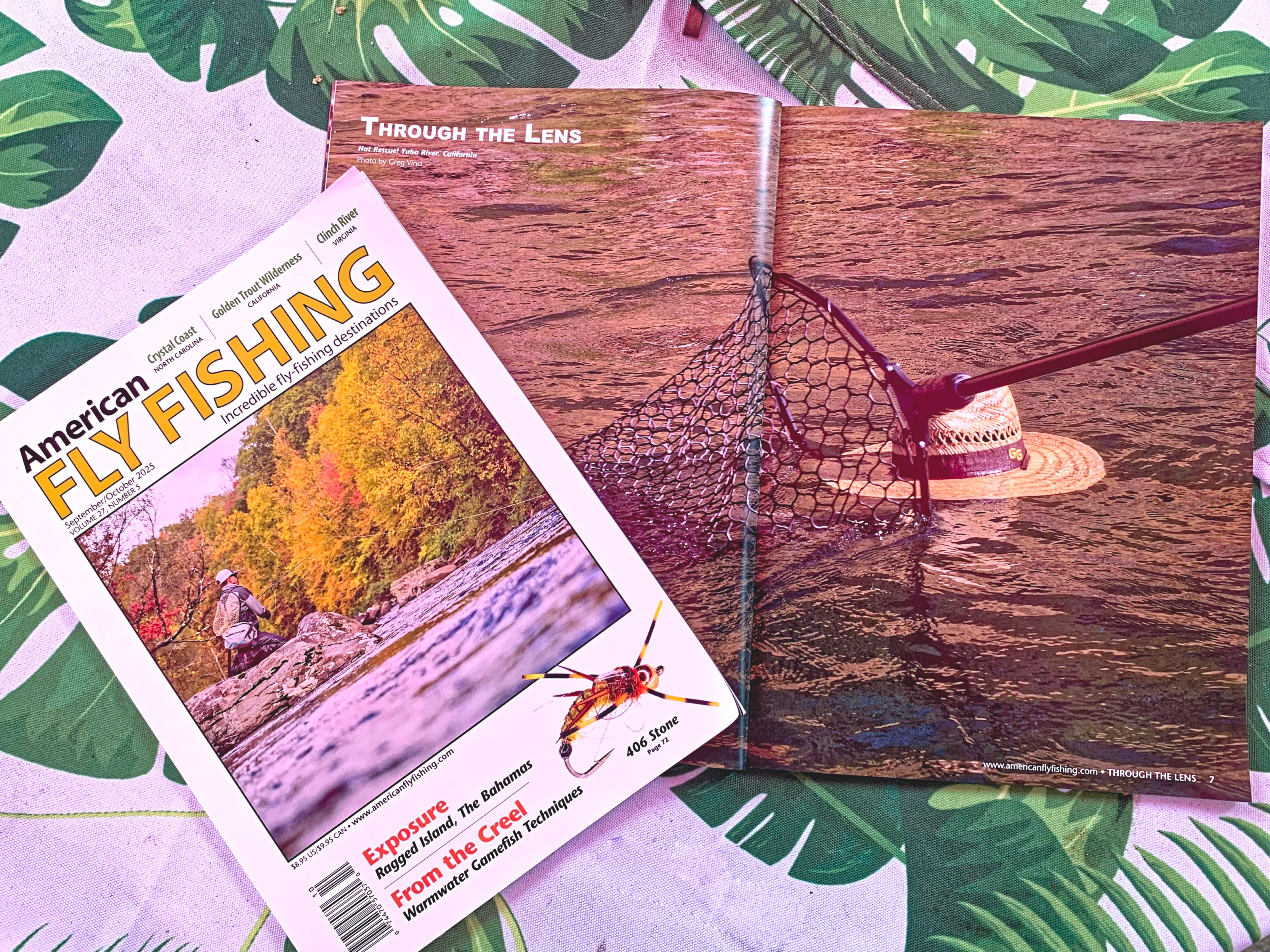 This Week's Musings - by Greg Vinci