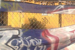 Steve Emig: The White Bear's Substack | Substack