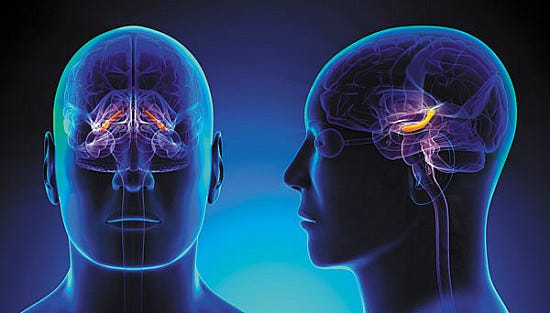 Grow Your Brain Daily: How to Stimulate Neurogenesis at Any Age