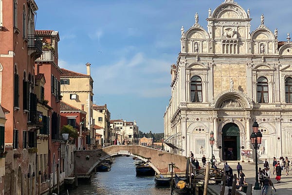 The Seedling | Willow Crossley | Substack