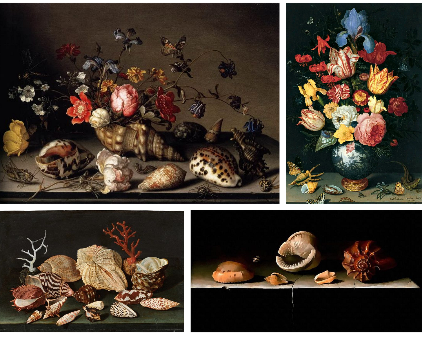 shell drawings by famous artists