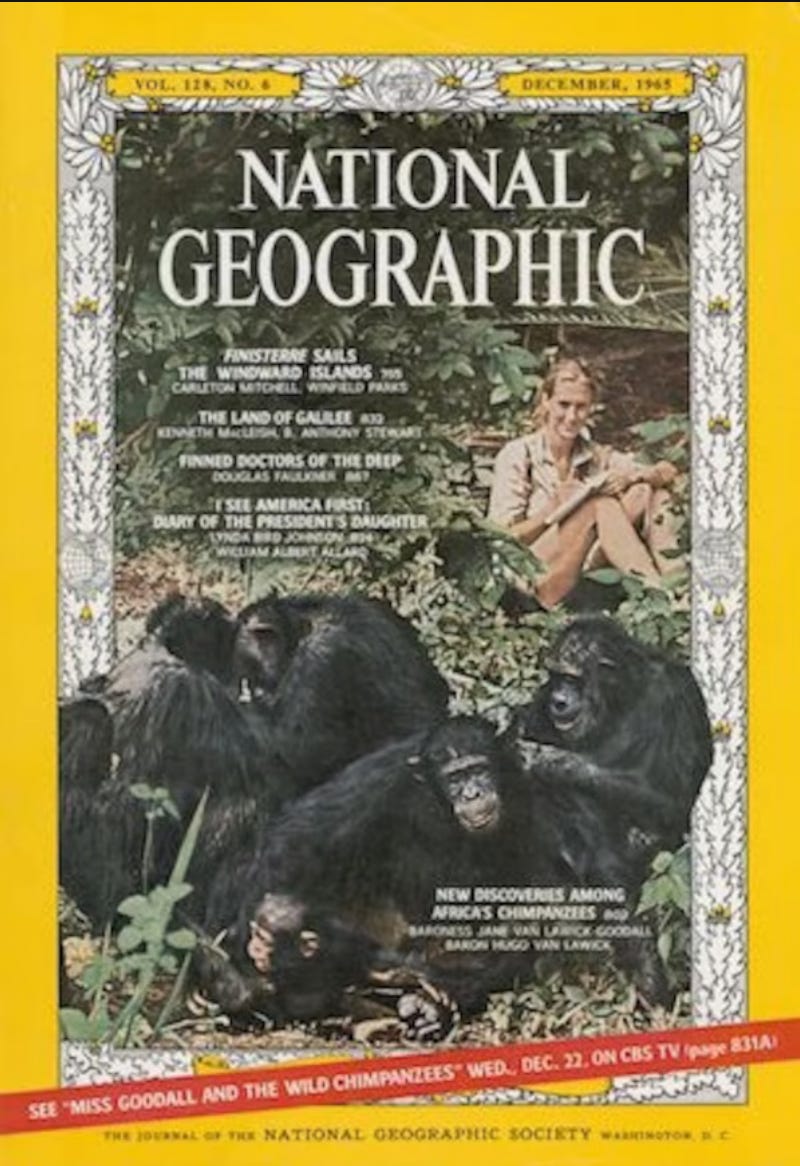 Jane Goodall: The Power to Change Minds - by Roberta Laurie