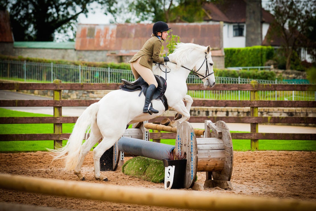 Stiff competition in Pony Working Hunter Championship at Hagans Croft