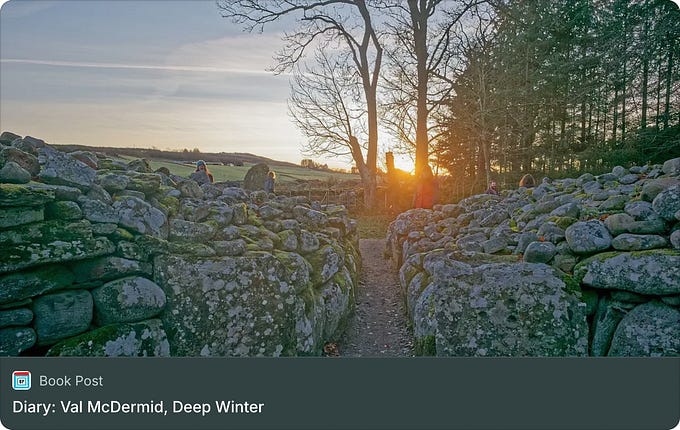 Ann Kjellberg (@bookpost): "Val McDermid’s Deep Winter—a new Book Post ...