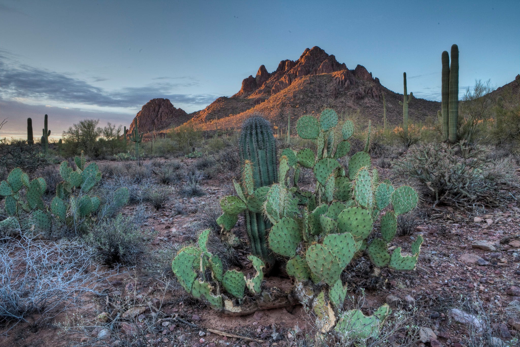 Abolishment of Two Arizona National Monuments Proposed in House Bill