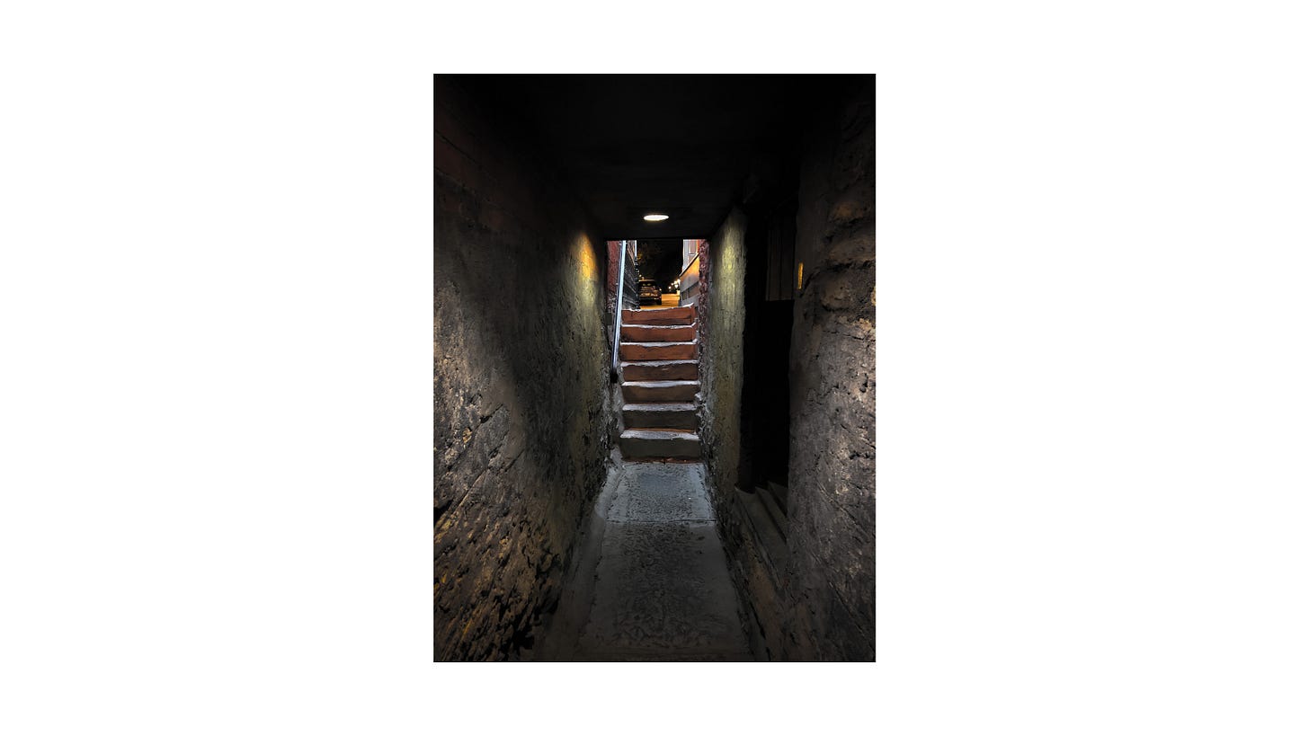 Root Cellars: The Forgotten Storage Method Making a Comeback