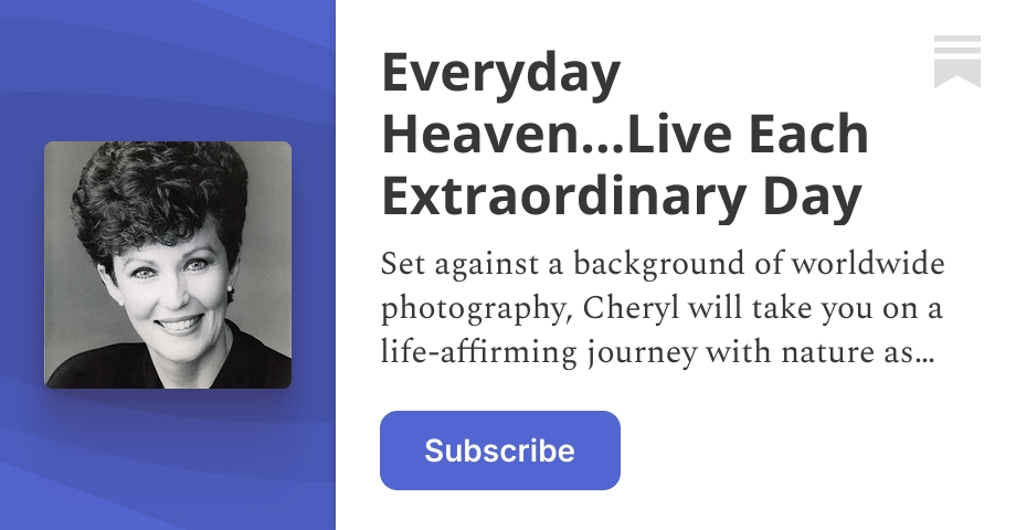 Everyday Heaven...Live Each Extraordinary Day | Cheryl Dalsanders | Substack