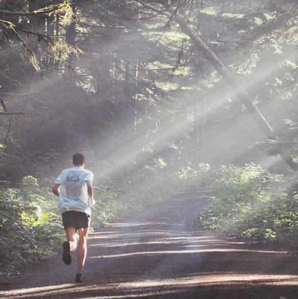 Matt Daniels | Substack