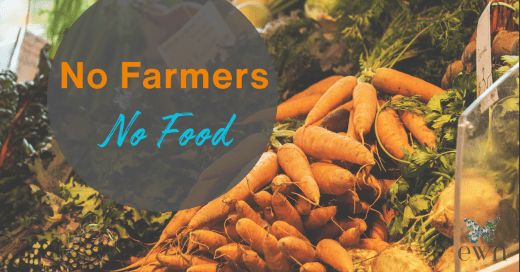 Shell’s Substack | Substack