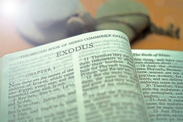 What Is the Theological Importance of the Book of Exodus?