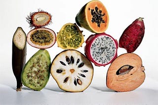 Plant Based | Katie Stone | Substack