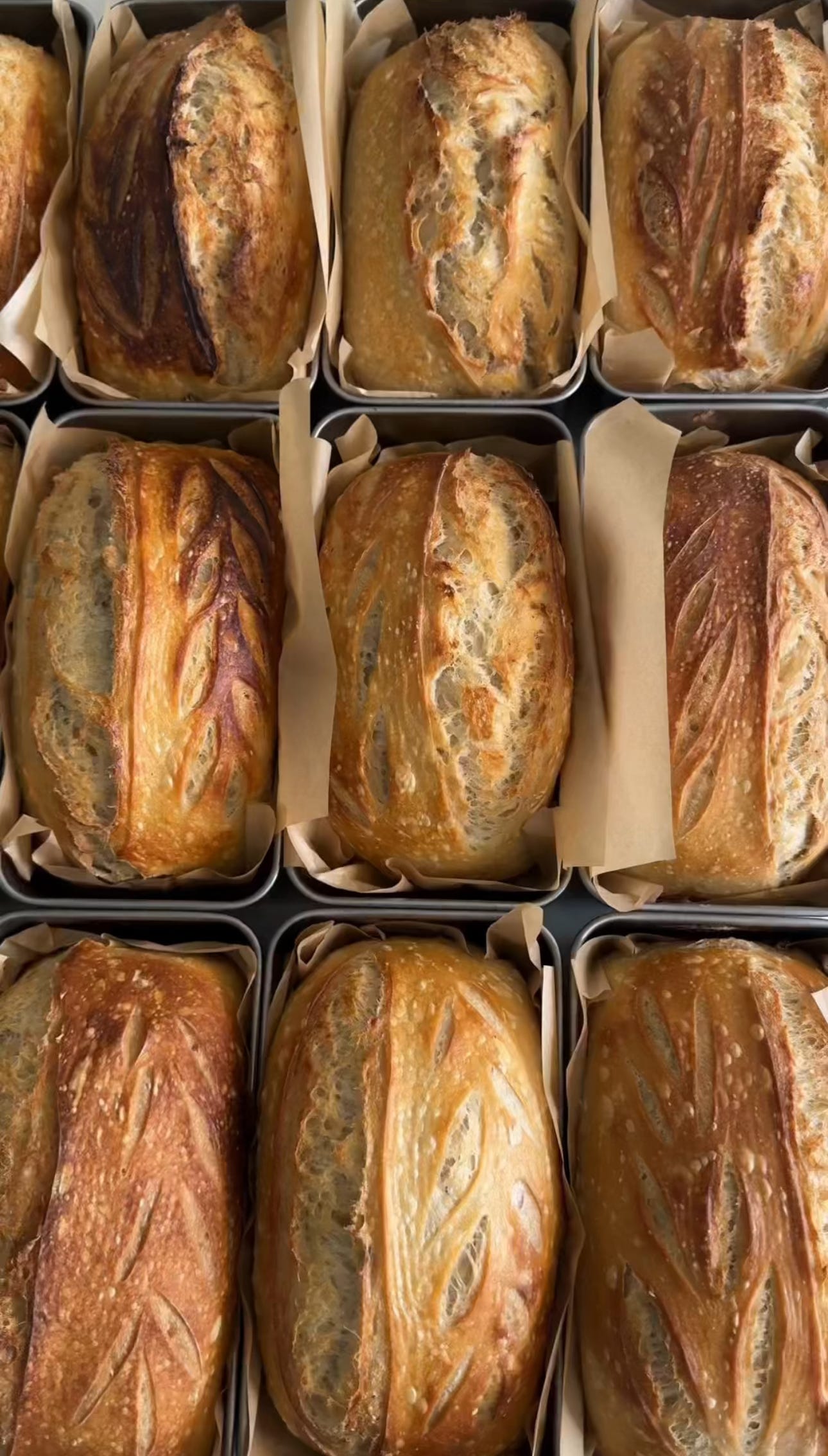 The Official Two Pan Method Guide For Baking Bread In Bulk In Home ...