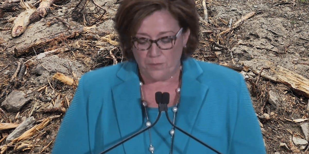 Conservationist Files Lawsuit Against County Commissioner for Alleged Violation of Colorado Open ...