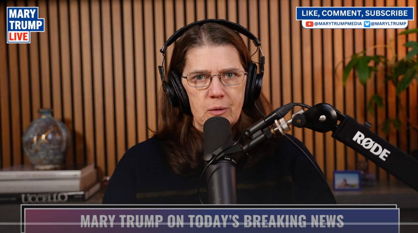 The Daily Wrap Up - The Good in Us by Mary L. Trump