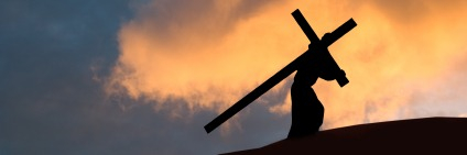 Anthony Stine | Substack