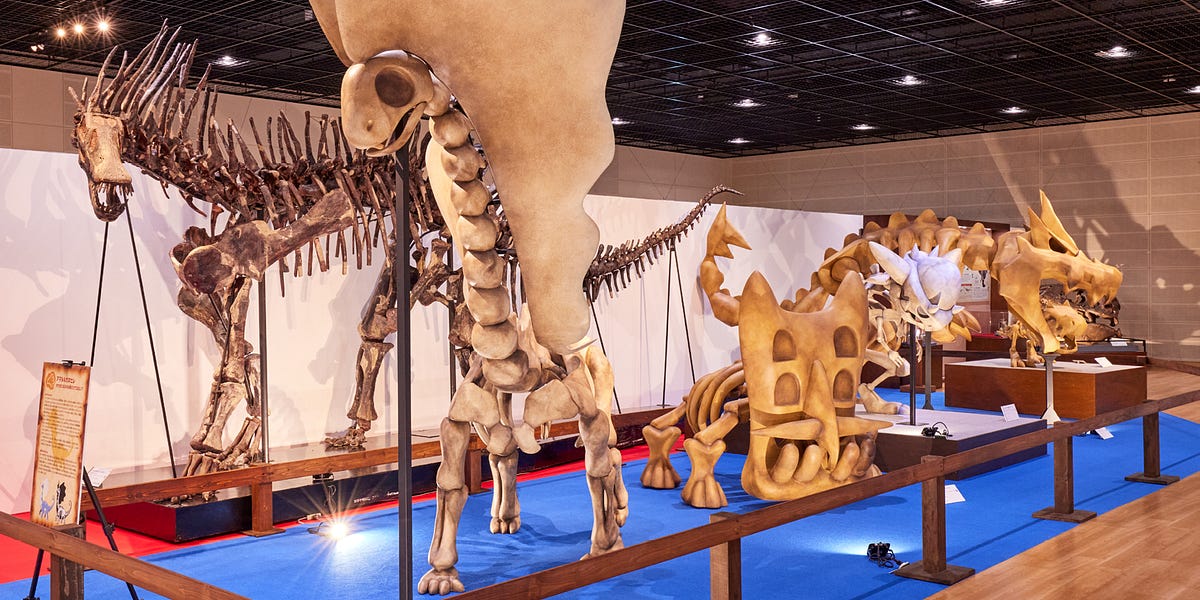 Pokémon Fossil Museum blends science and imagination