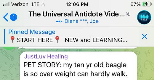 The Universal Antidote Testimonies Archive | Curious Outlier | Substack