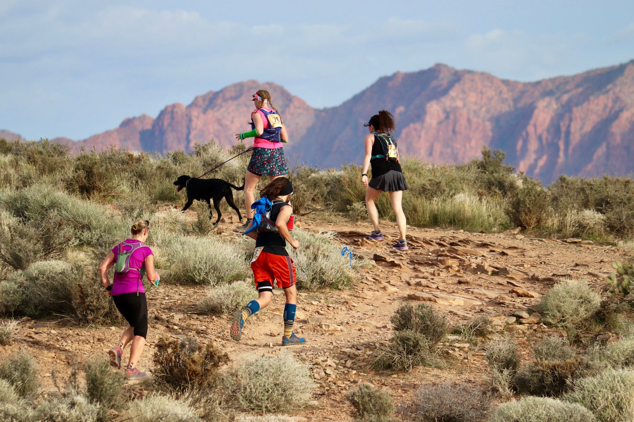 Bucyrus, Costa Mesa, Ivins, Saint-Pierre-la-Mer, San Juan Island + Utah ...