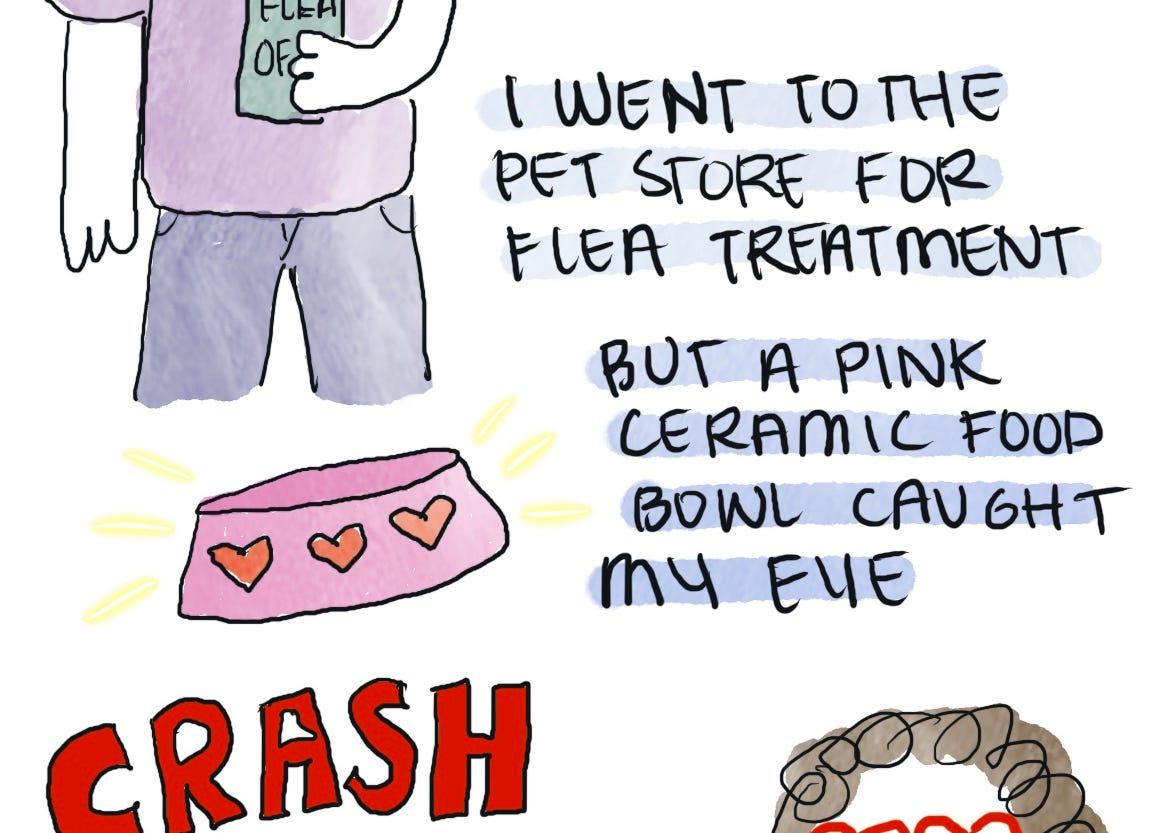 Trish Tails | Dishkitty | Substack