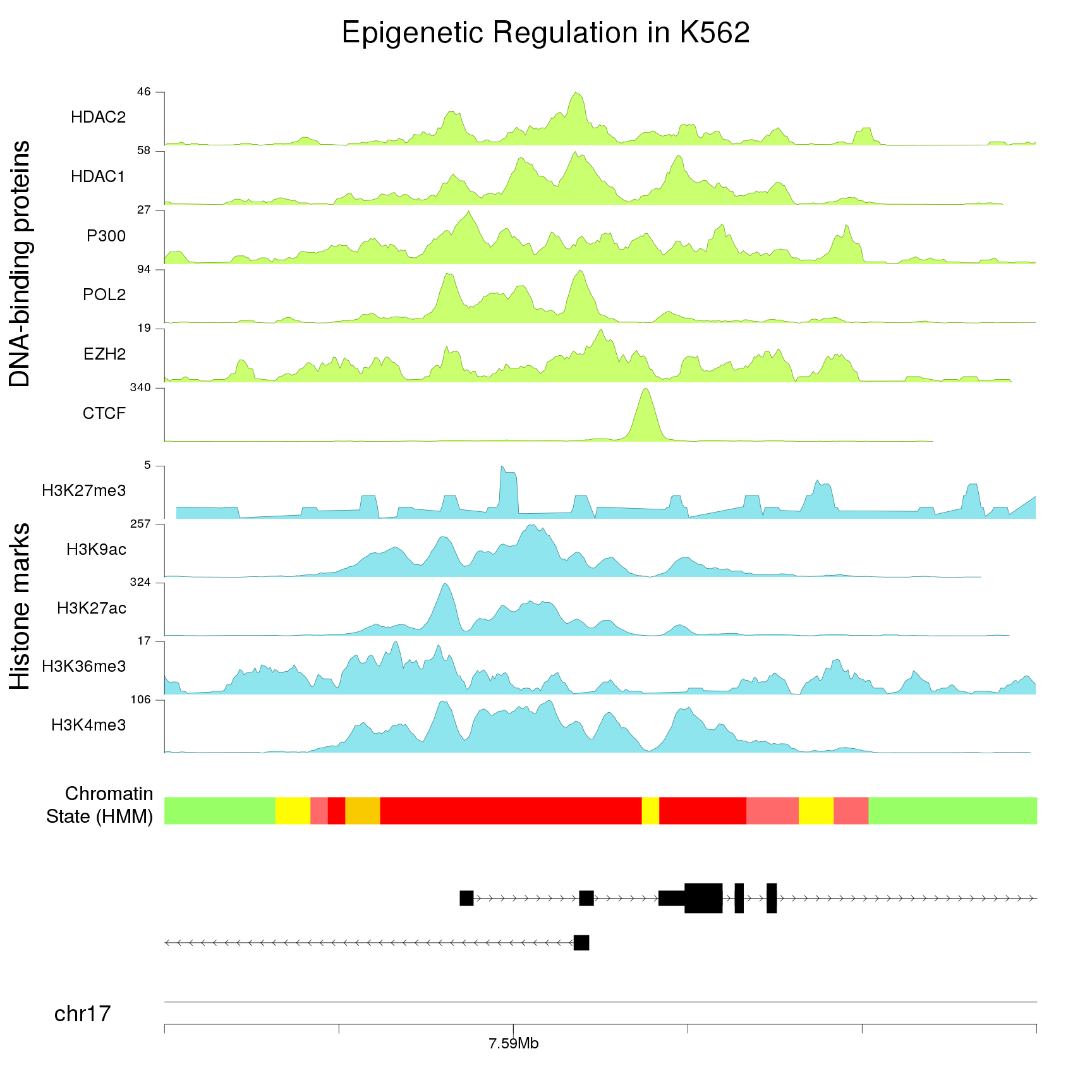 Plot data along a genome with karyoploteR