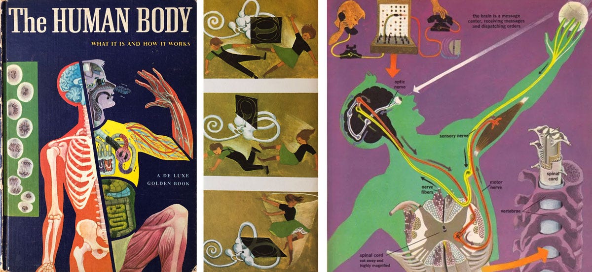 The Magnet 0008 — Best 1950s Kids' Science Books