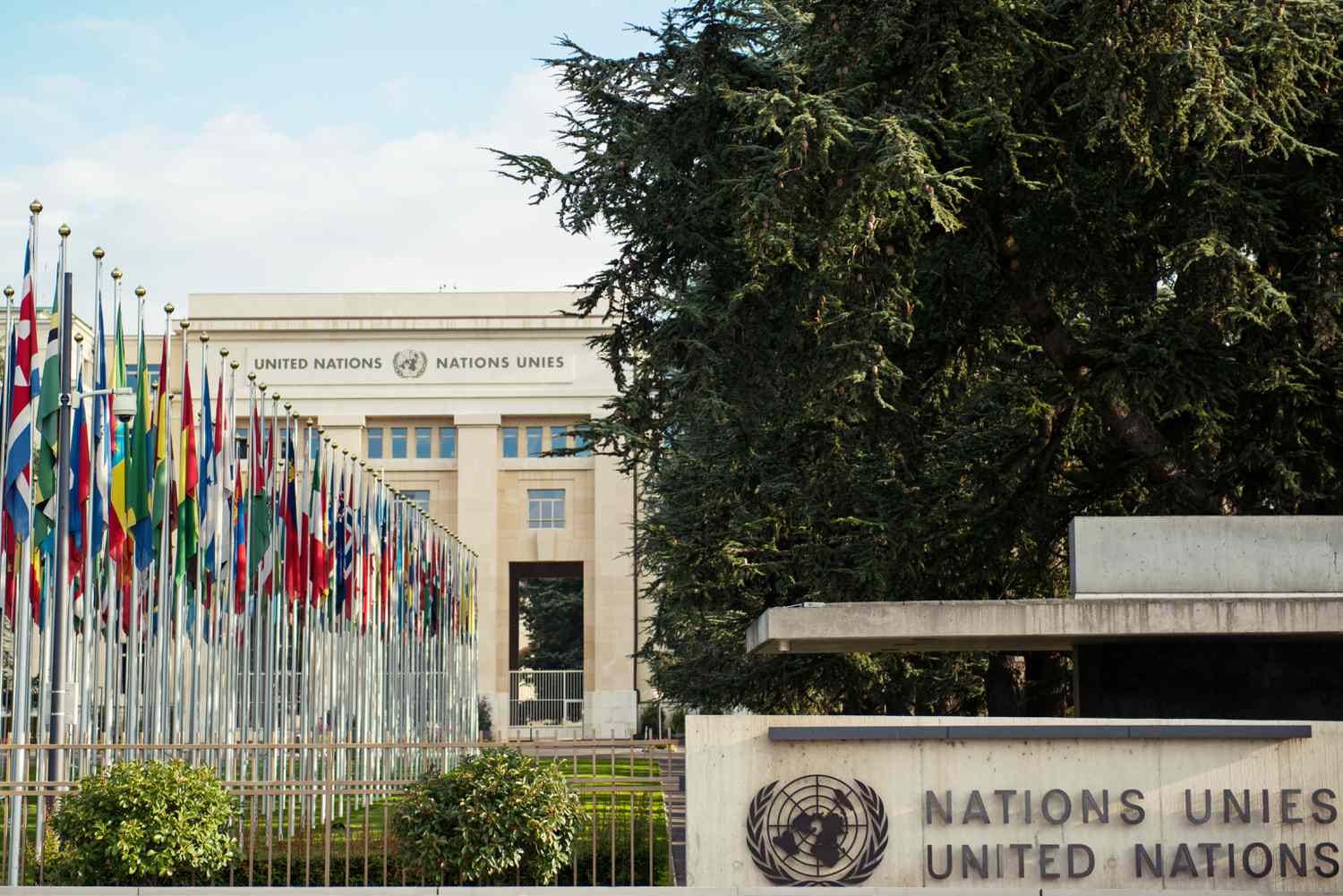The United Nations at Eighty - by Mohammad Amin Nouri