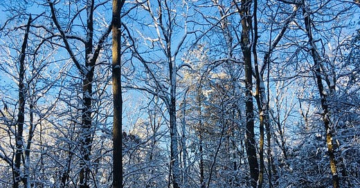 Zen Peacemakers | Substack